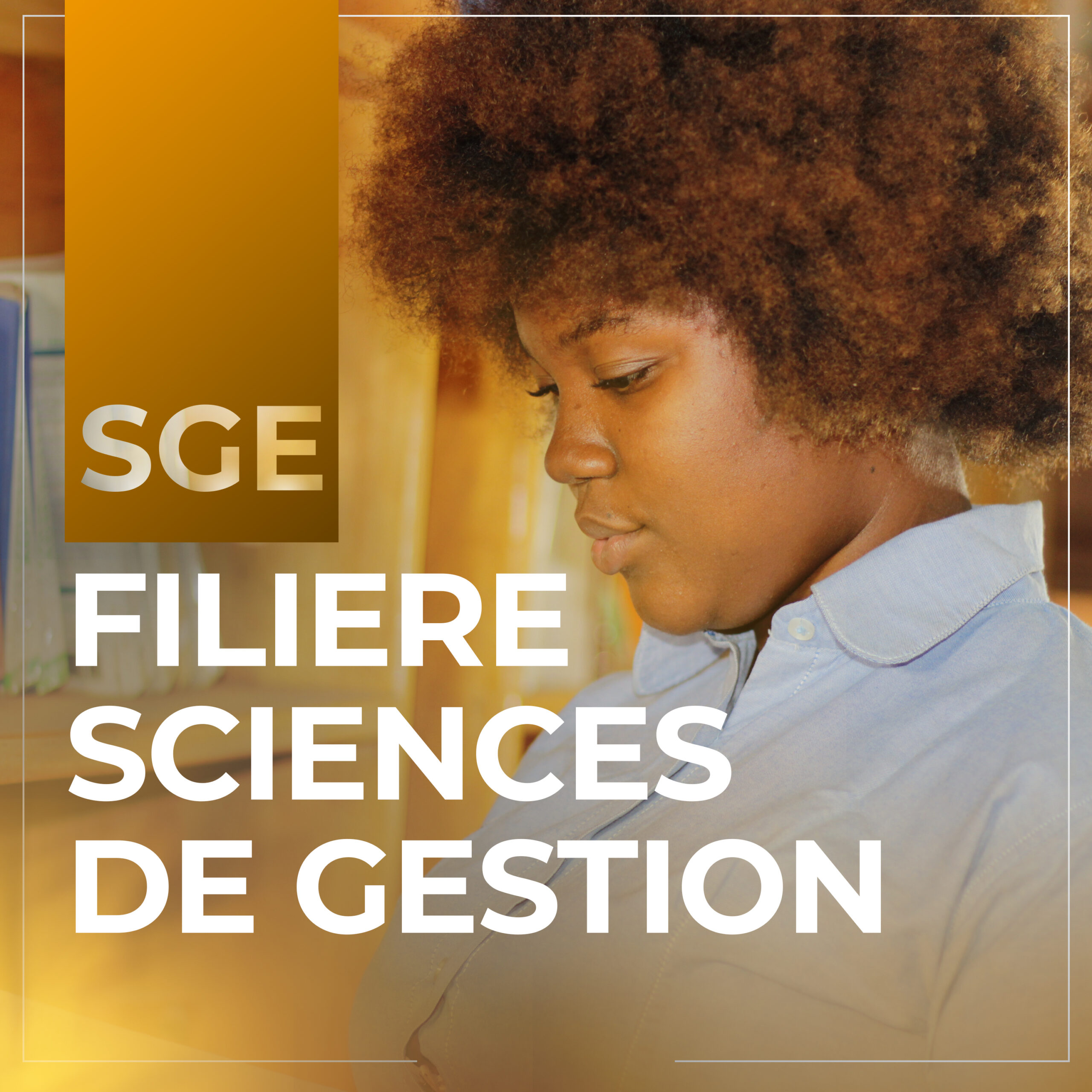 SCIENCES DE GESTION - ITMA